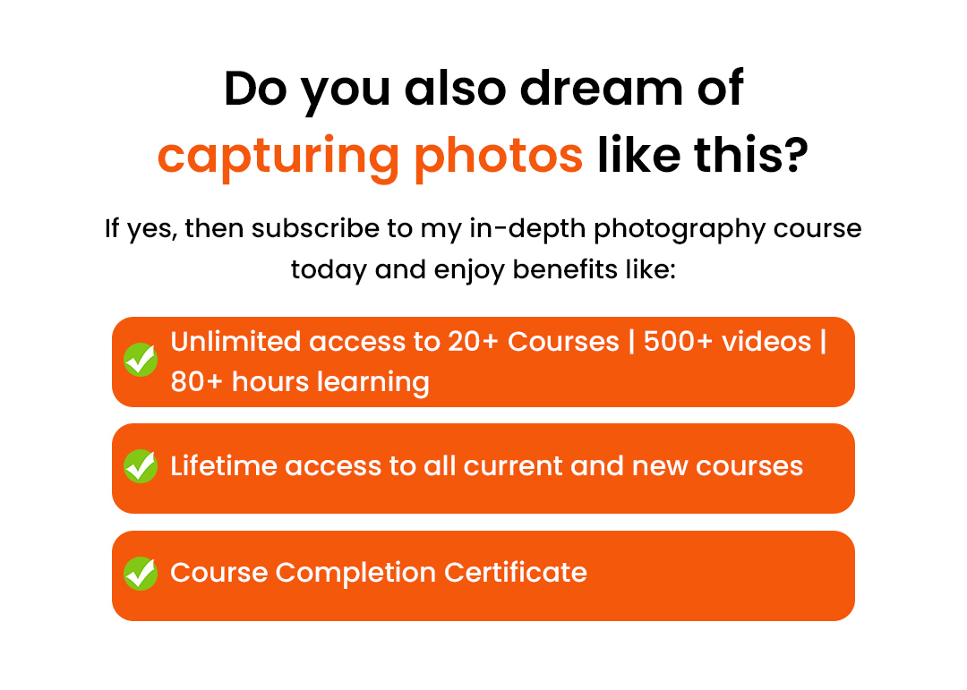 Adrija-SSP-TS-33-Student’s-Photography-Email-Creative-1_08 – © Sudhir Shivaram Photography